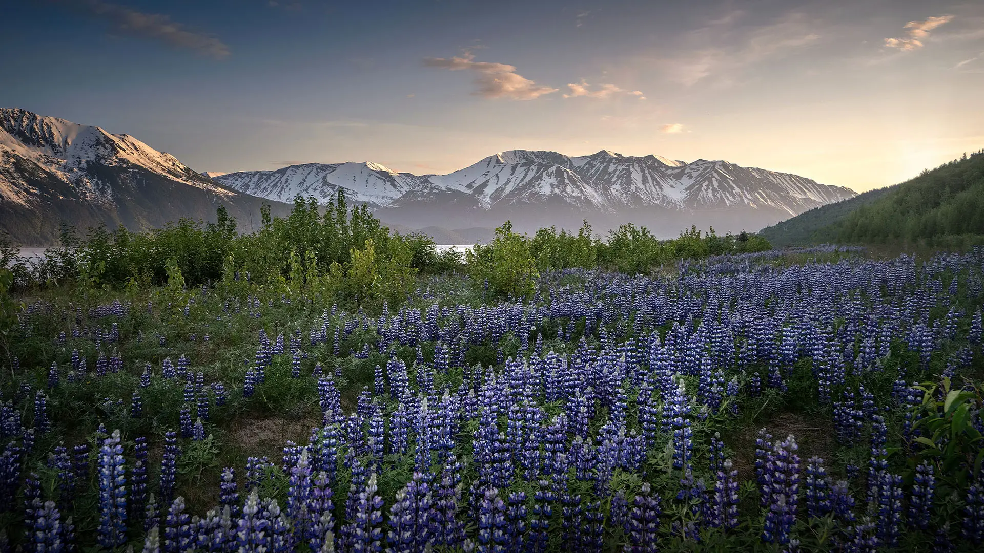 Alaska Adventure Unlimited | Curated Multi-Day Alaska Land Tours